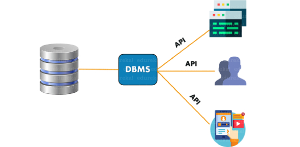 DBMS Exam: MCQ Quiz! Trivia - Quiz & Trivia
